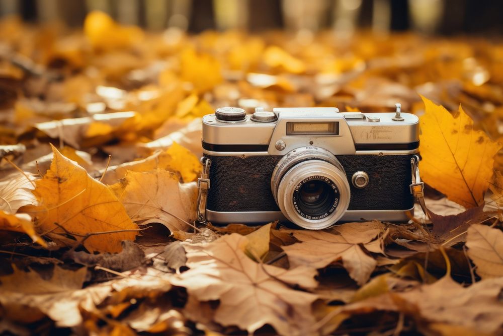 Autumn outdoors camera plant. AI | Free Photo - rawpixel