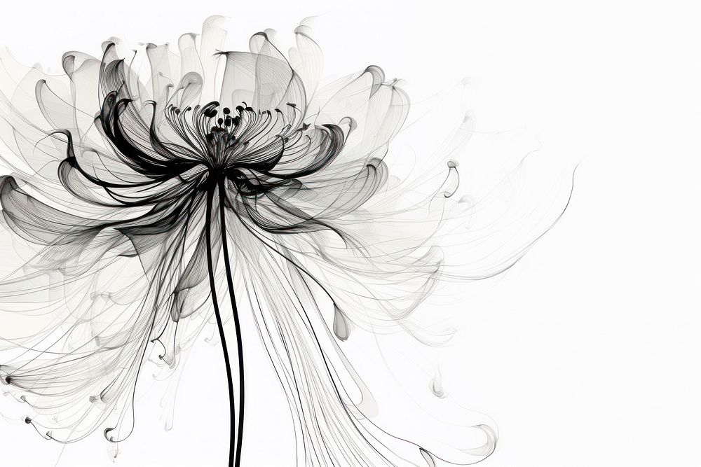Drawing flower abstract sketch | Premium Photo Illustration - rawpixel