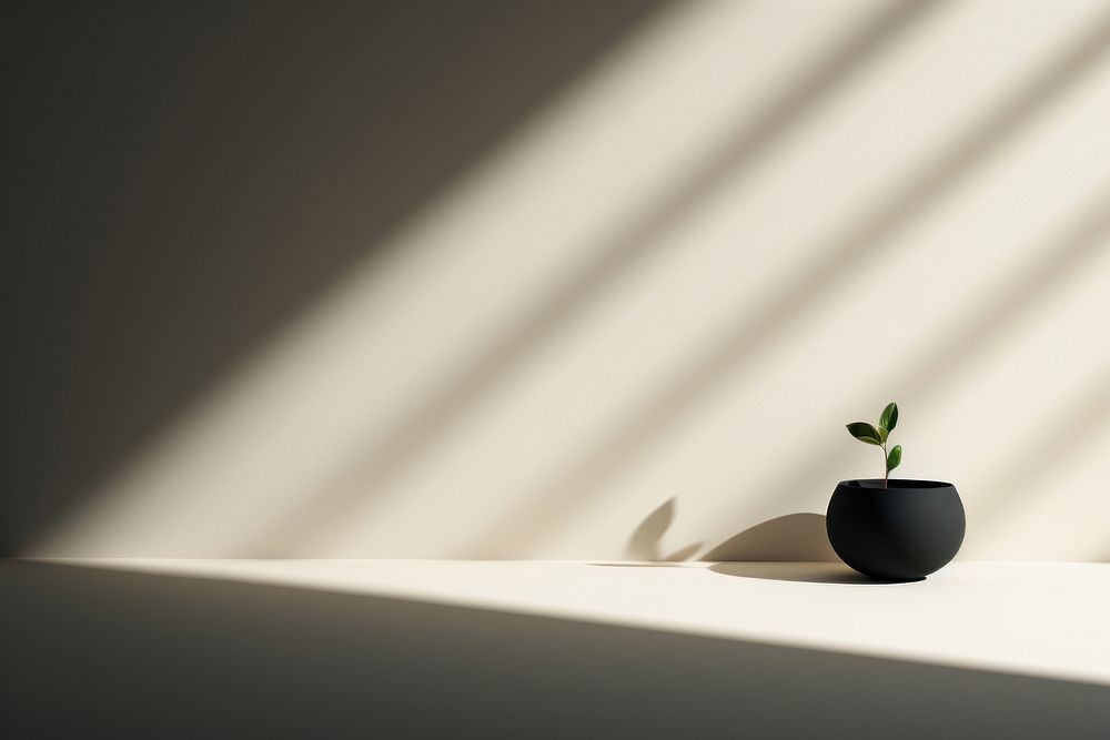 Shadow light plant leaf. | Free Photo - rawpixel