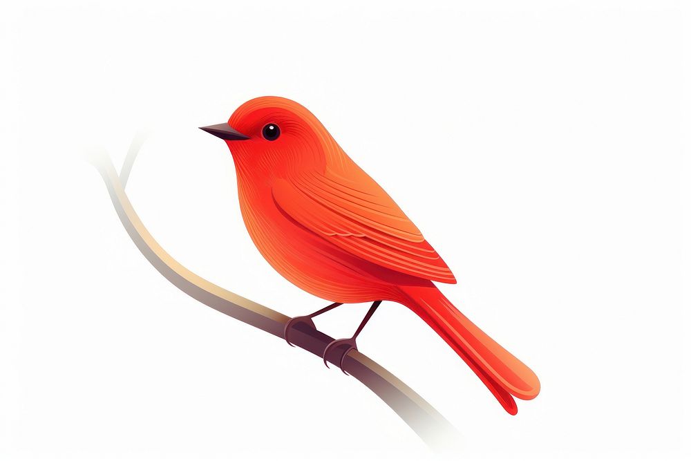 Bird animal white background wildlife. | Free Photo Illustration - rawpixel