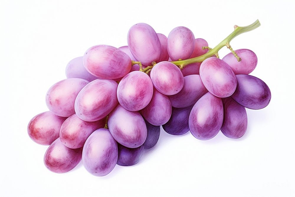 Grapes violet fruit plant. AI | Premium Photo Illustration - rawpixel