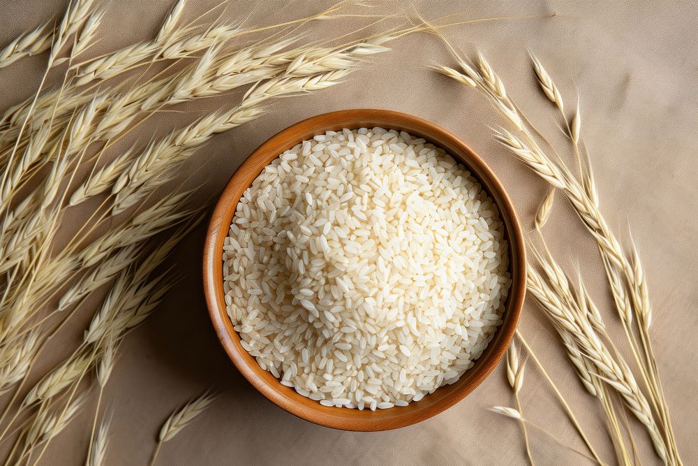 Rice plant grain food. AI | Premium Photo - rawpixel