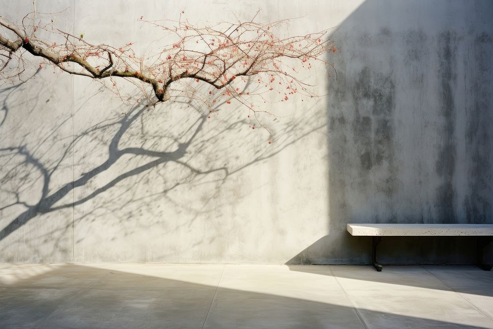Architecture building branch shadow | Free Photo - rawpixel