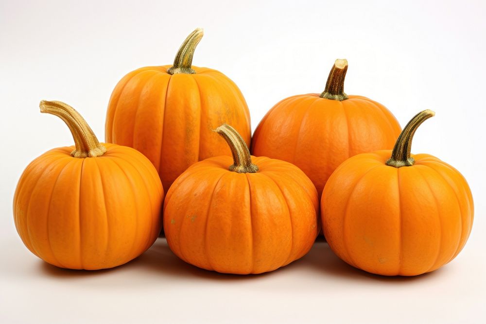 Pumpkin vegetable plant food. | Free Photo - rawpixel