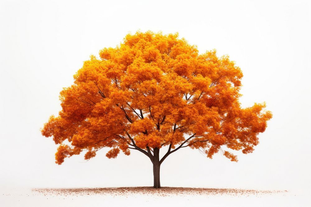 Tree plant maple leaf. AI | Free Photo - rawpixel