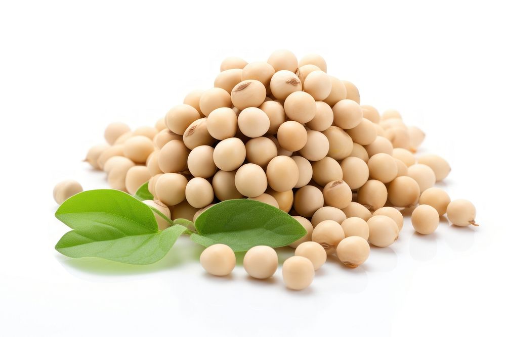 Vegetable plant food soy. | Premium Photo - rawpixel