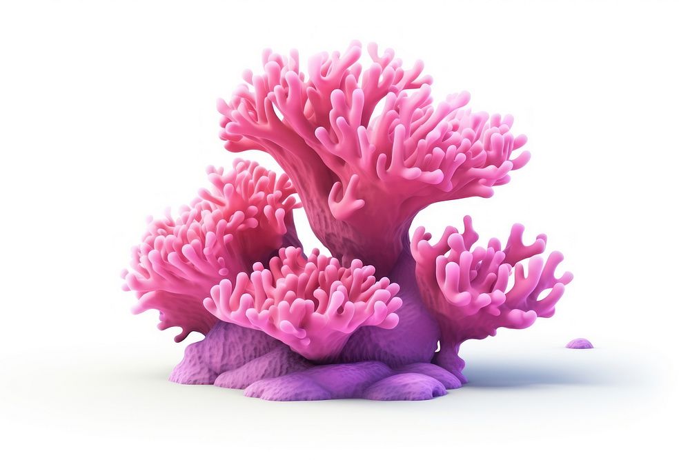 Nature sea white background invertebrate. | Premium Photo Illustration ...