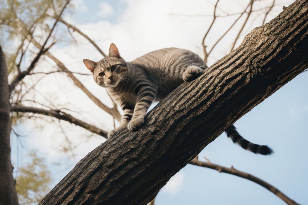 Animal mammal tree pet. AI | Premium Photo - rawpixel