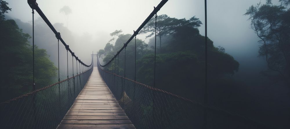 Bridge outdoors nature jungle. AI | Free Photo - rawpixel