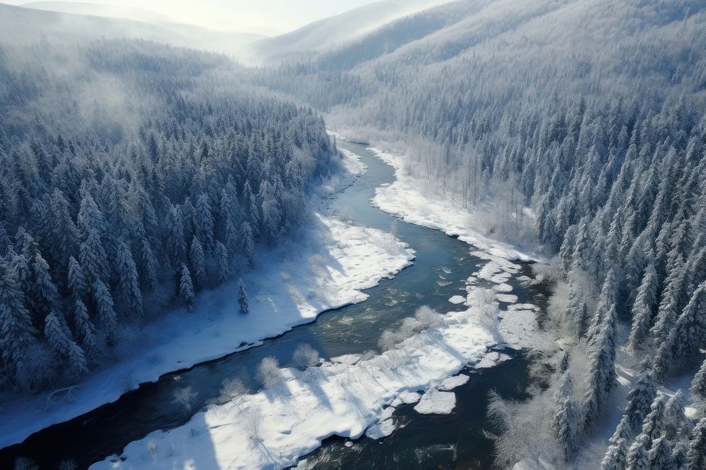 Forest river outdoors nature. AI | Free Photo - rawpixel