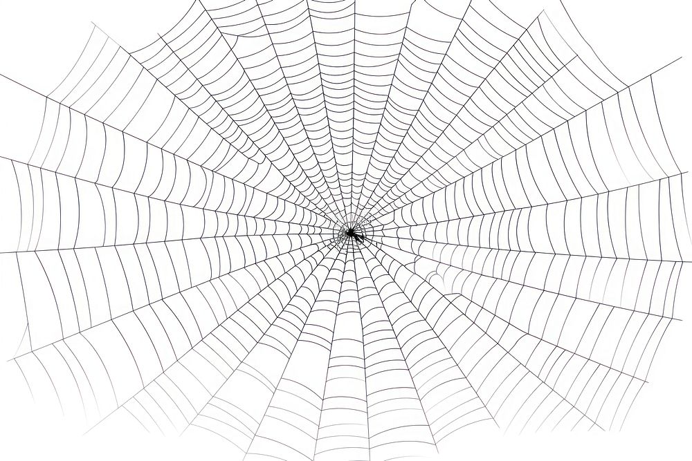 Spider web backgrounds concentric complexity. | Premium Photo - rawpixel