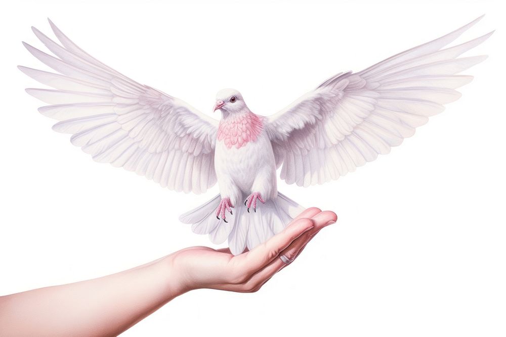 Hand holding paper dove animal | Premium Photo Illustration - rawpixel