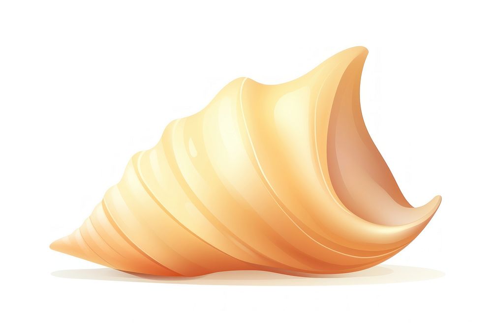 Conch shell conch white background | Premium Photo Illustration - rawpixel