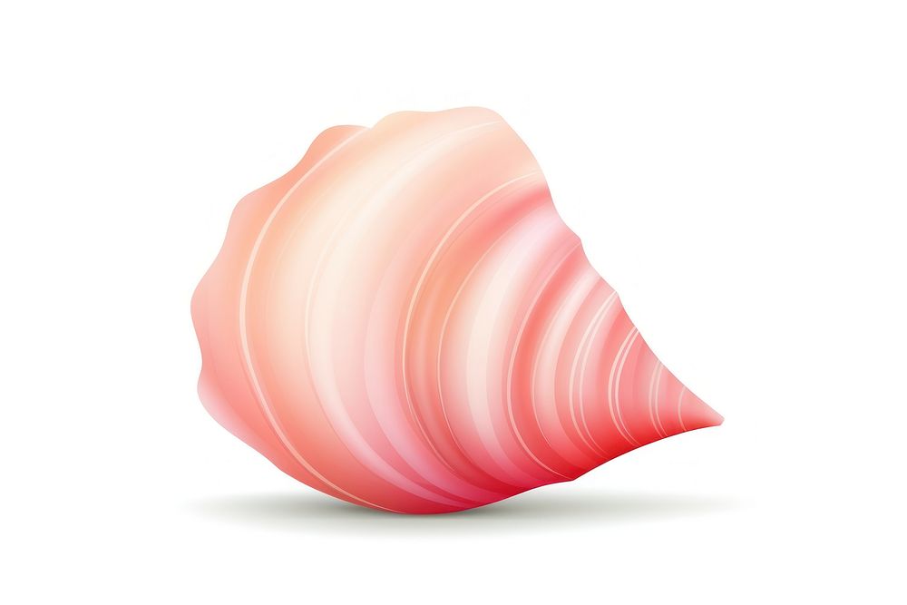 Conch shell conch white background | Free Photo Illustration - rawpixel
