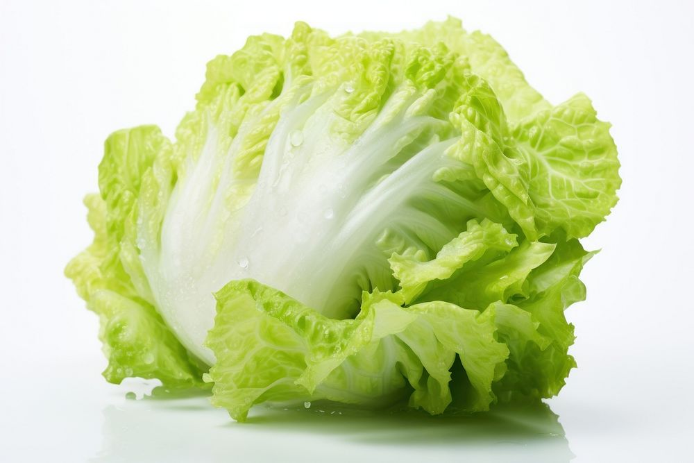 Iceberg lettuce vegetable plant food. | Premium Photo - rawpixel