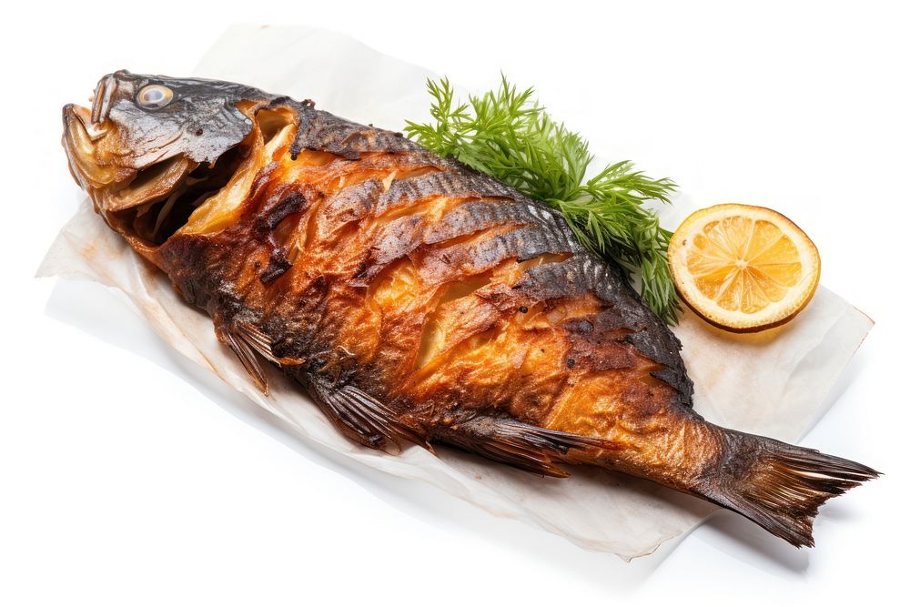 Tarpon seafood animal meat. | Premium Photo - rawpixel