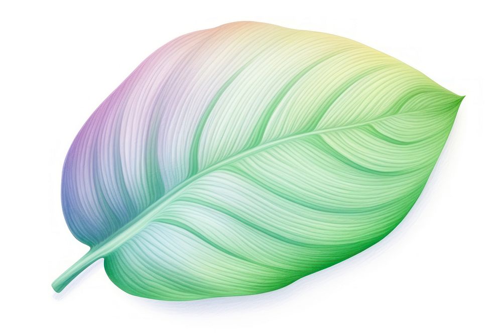 Monstera Deliciosa Fruit plant leaf | Premium Photo Illustration - rawpixel