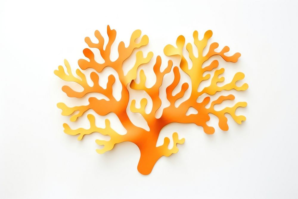Yellow coral white background creativity | Free Photo Illustration ...