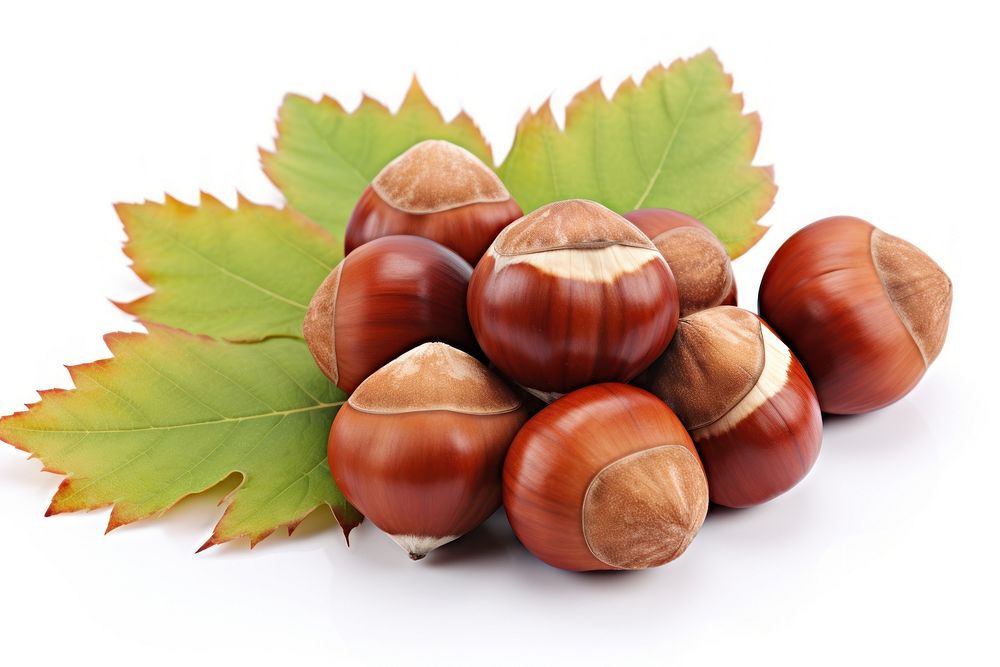 Hazelnuts vegetable plant food. AI | Premium Photo - rawpixel