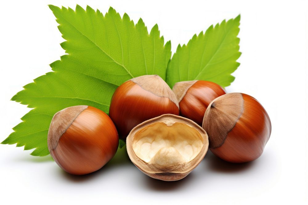 Hazelnuts plant food leaf. AI | Premium Photo - rawpixel