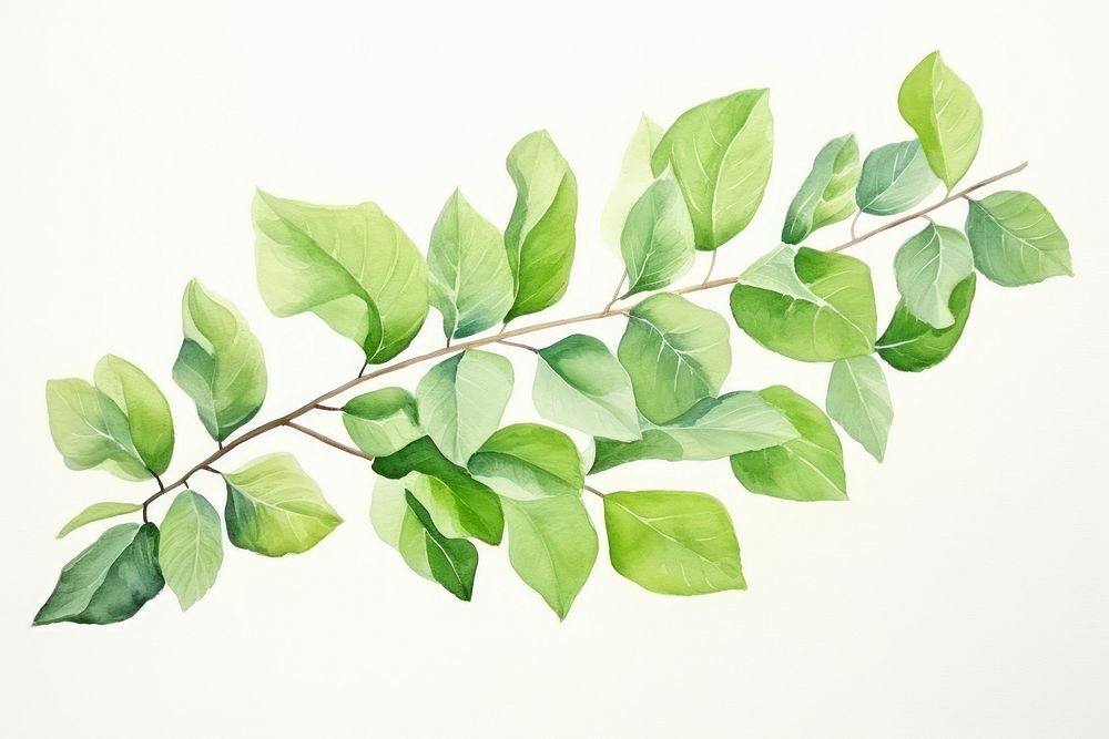 Plant leaf pattern drawing. AI | Free Photo Illustration - rawpixel
