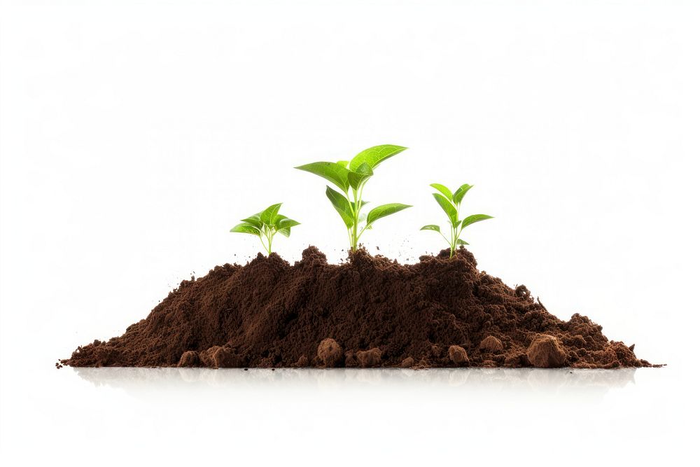 Soil plant leaf agriculture. AI | Premium Photo - rawpixel