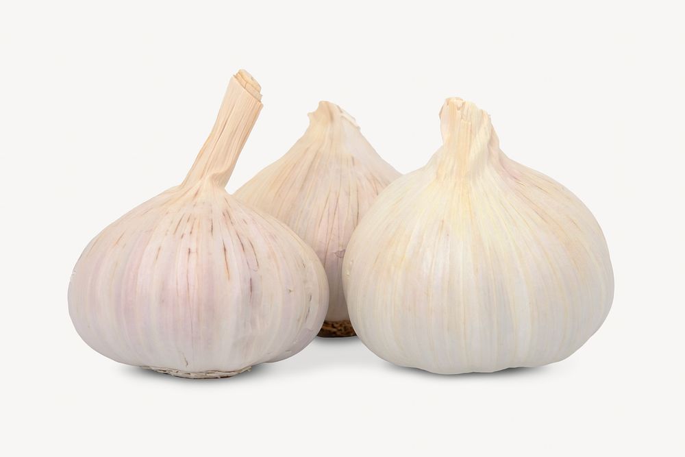 Fresh garlic vegetable isolated image | Free Photo - rawpixel