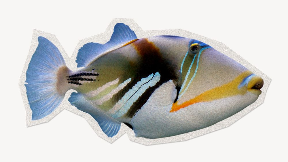 Triggerfish, sea life paper cut | Free Photo - rawpixel
