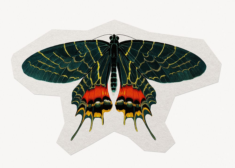Green butterfly, insect, paper cut | Free Photo - rawpixel