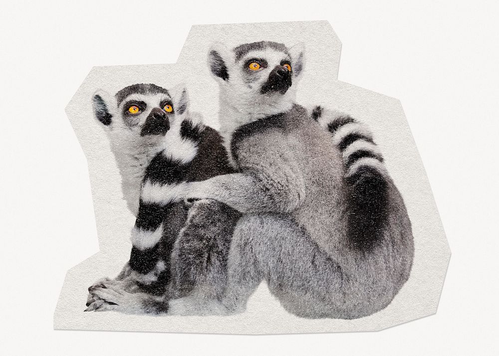 Lemur paper cut isolated design | Free Photo - rawpixel