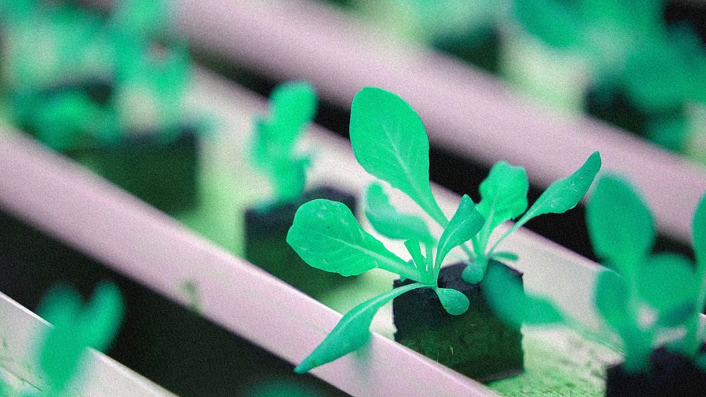 IoT smart agriculture desktop wallpaper, | Premium Photo - rawpixel