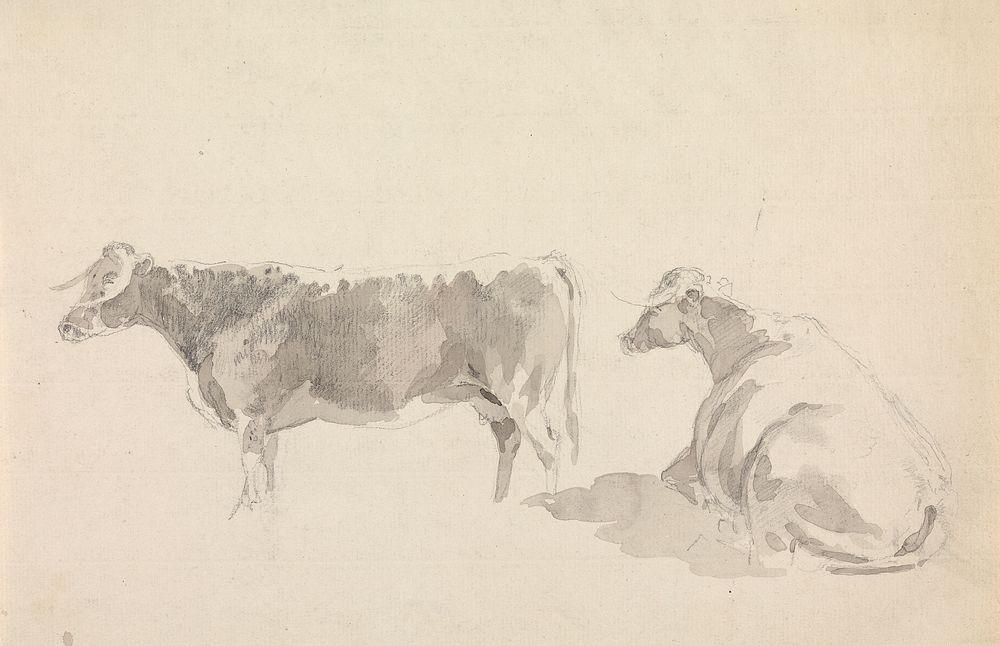 Studies of Cattle | Free Photo - rawpixel