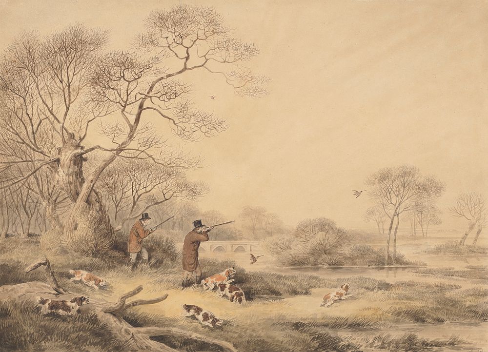 Snipe Shooting | Free Photo - rawpixel