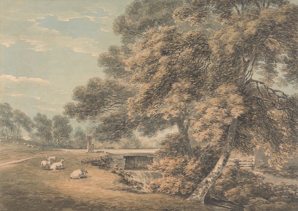 Trees and River Park Coleorton | Free Photo - rawpixel