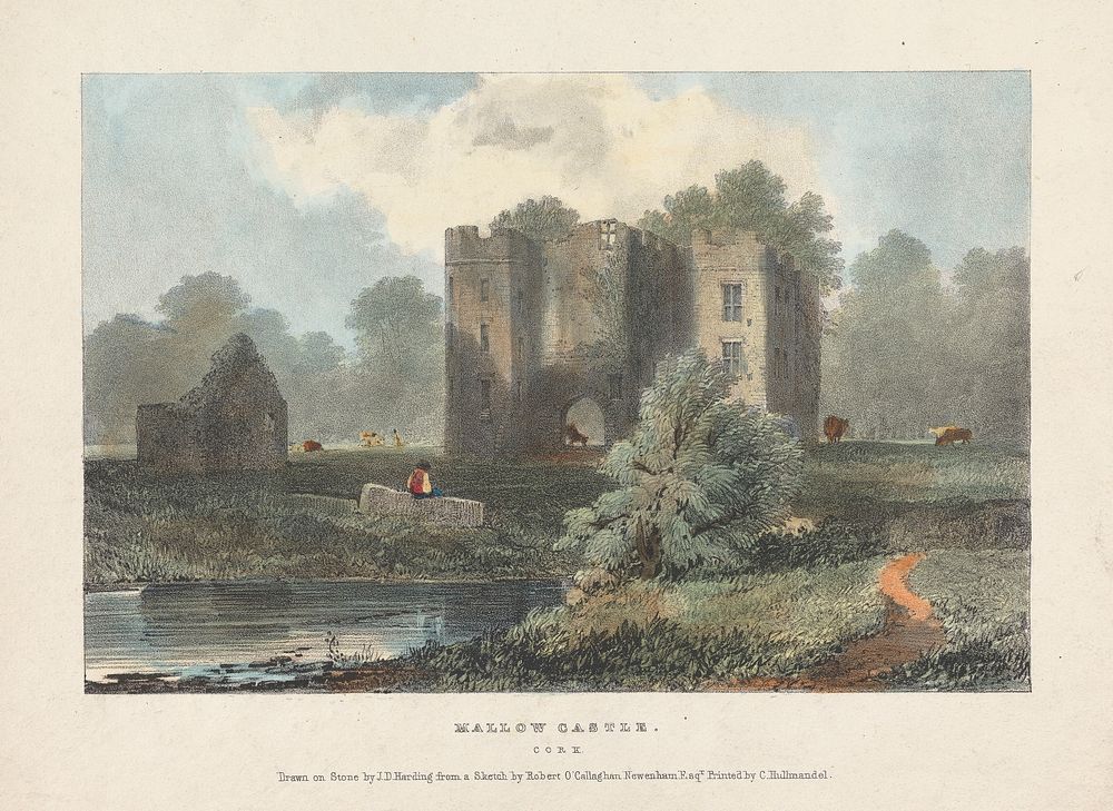 Mallow Castle | Free Photo - rawpixel