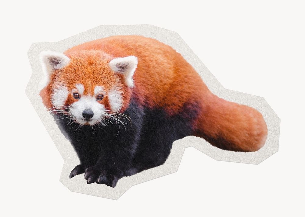 Red panda paper element white | Premium Photo - rawpixel