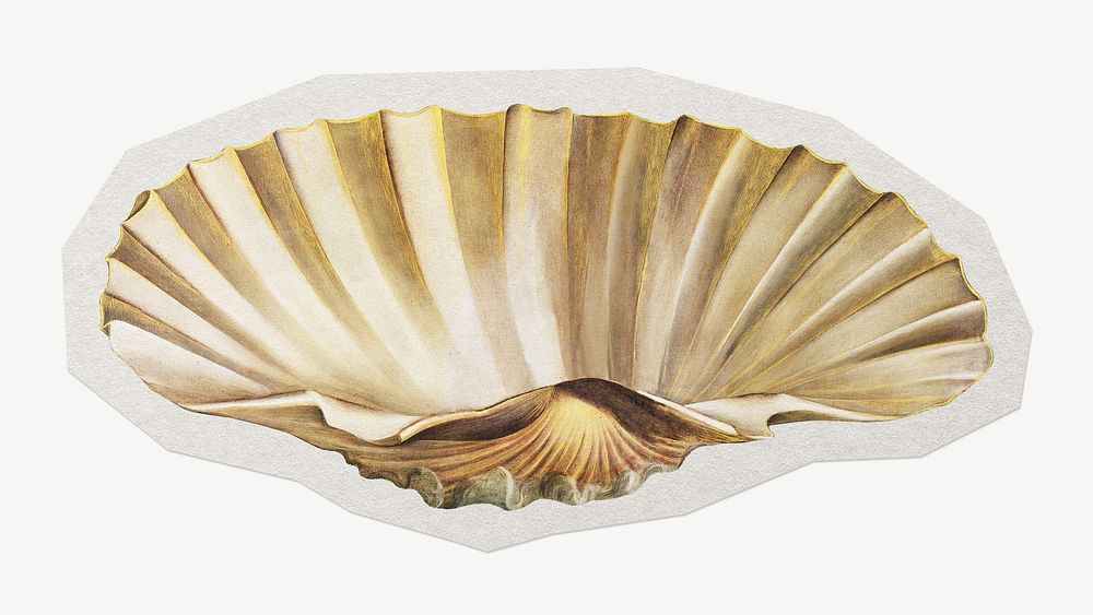 Sandro Botticelli’s Venus giant scallop | Premium Photo - rawpixel