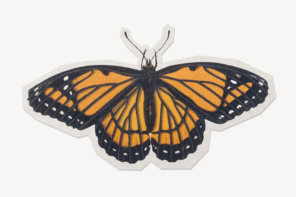 Vintage hand drawn butterfly paper | Premium Photo - rawpixel