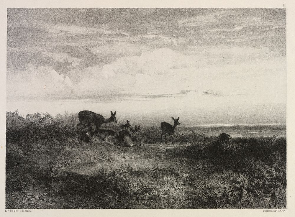 Landscape Deer Karl Bodmer | Free Photo Illustration - rawpixel