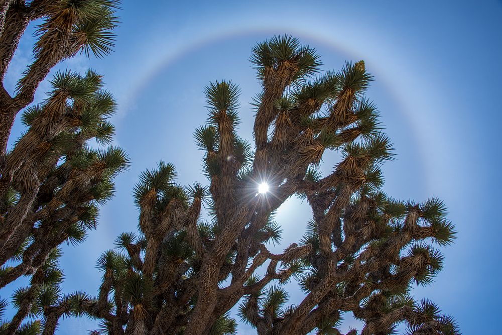 Sun Halo | Free Photo - rawpixel