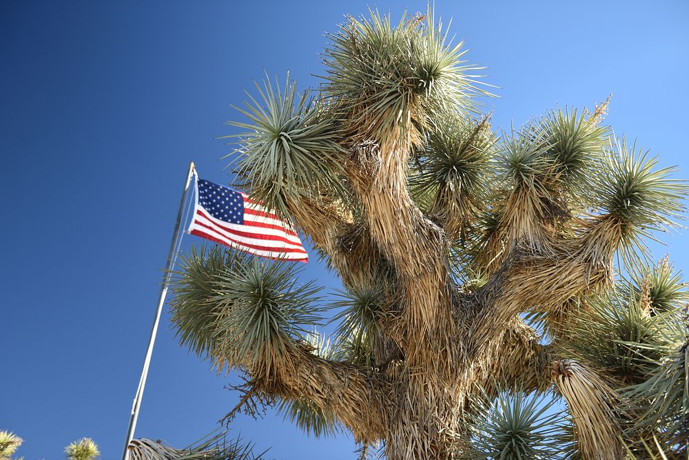 Flag at Black Rock | Free Photo - rawpixel