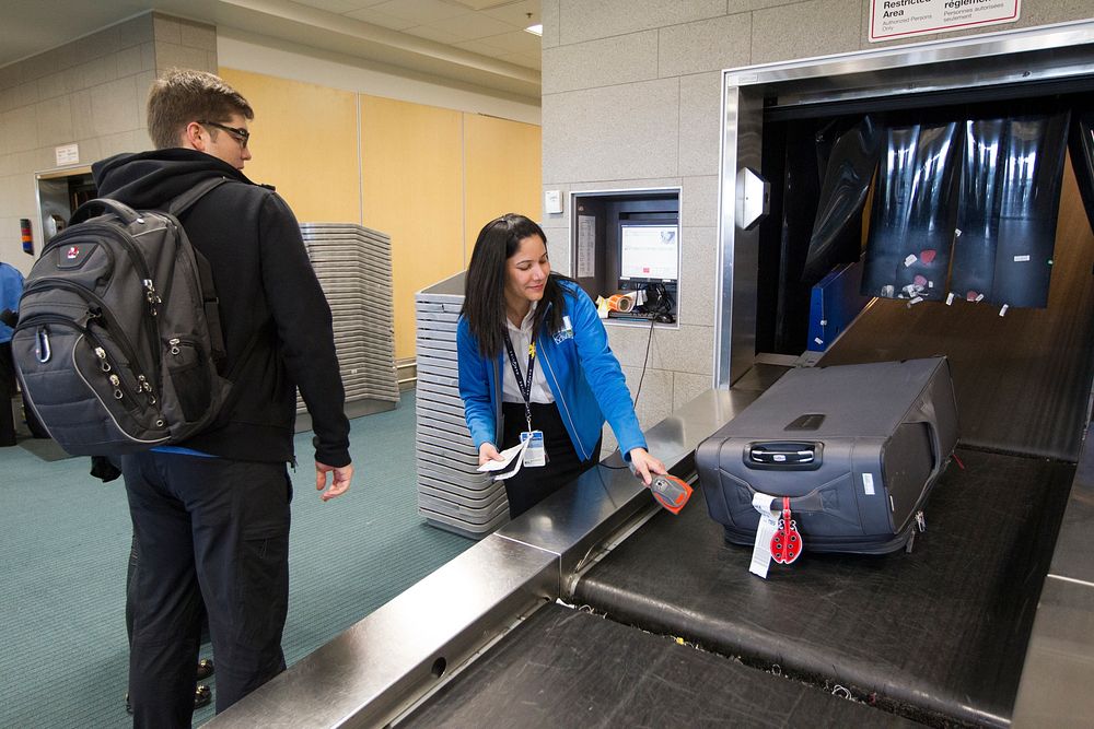 CBP International Travel Preclearance Operations | Free Photo - rawpixel