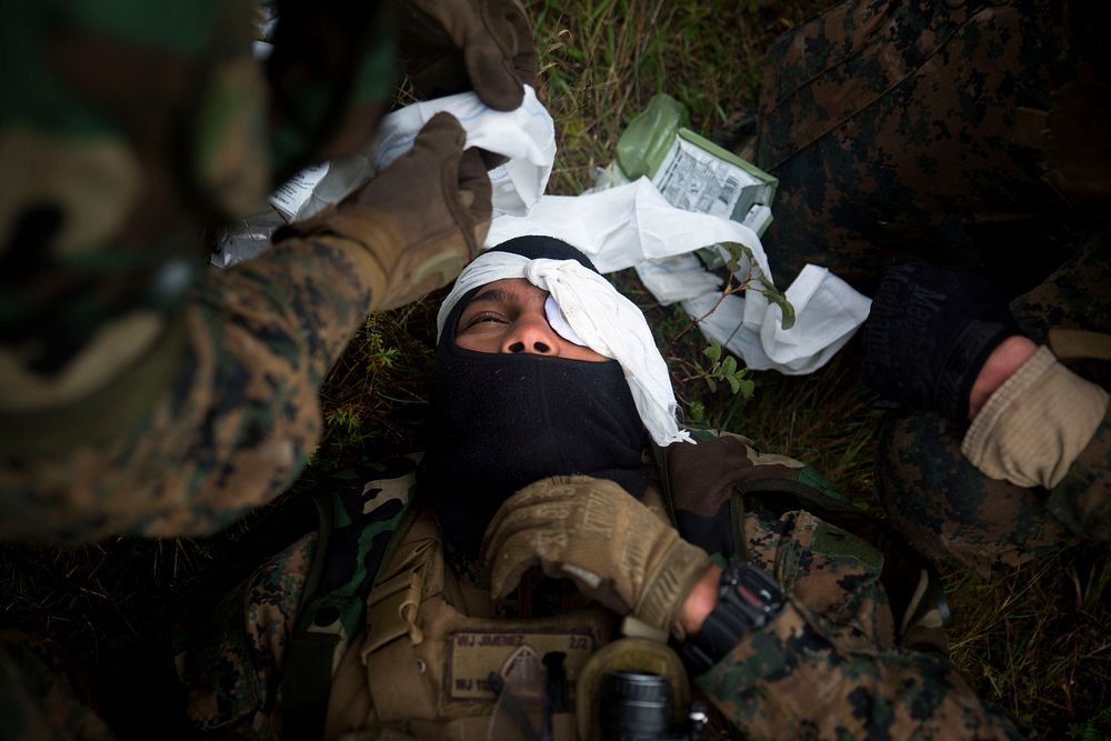 Exercise Aurora 17 | Free Photo - rawpixel