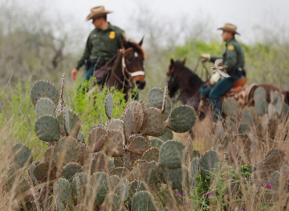 U.S. Border Patrol agents follow | Free Photo - rawpixel