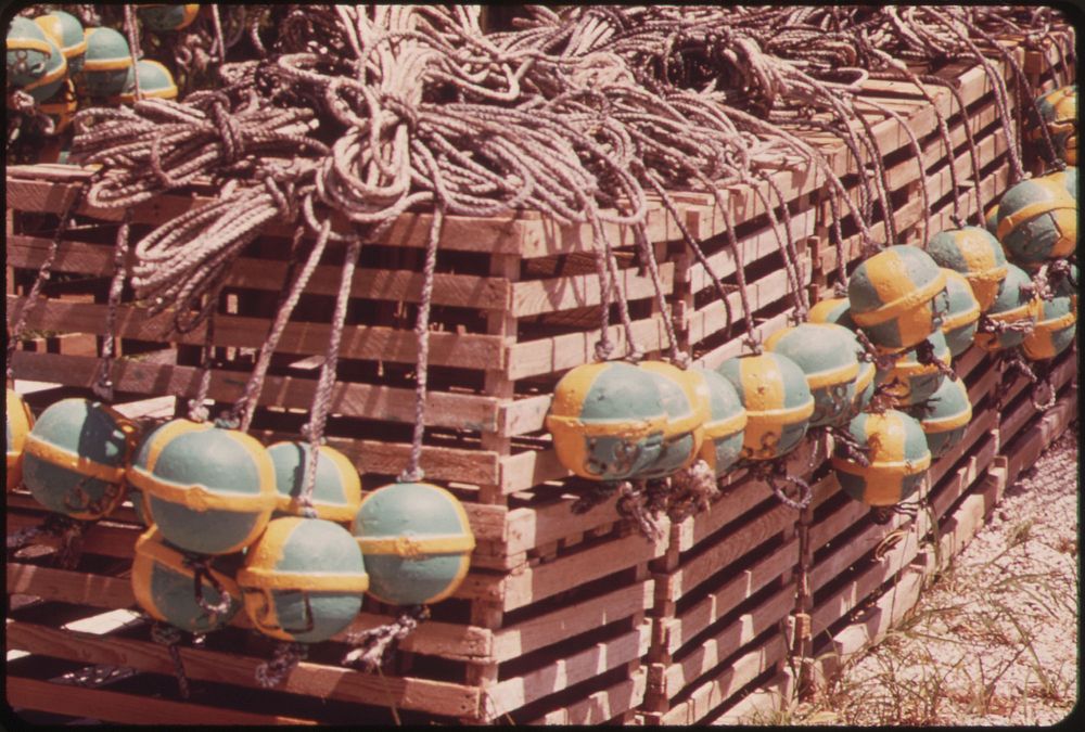 Lobster Fisherman's Gear Conch Key | Free Photo - rawpixel