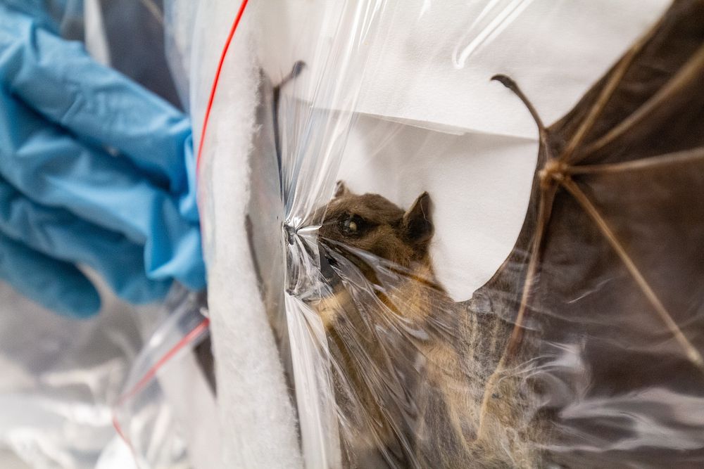 CBP officers assigned Area Port | Free Photo - rawpixel