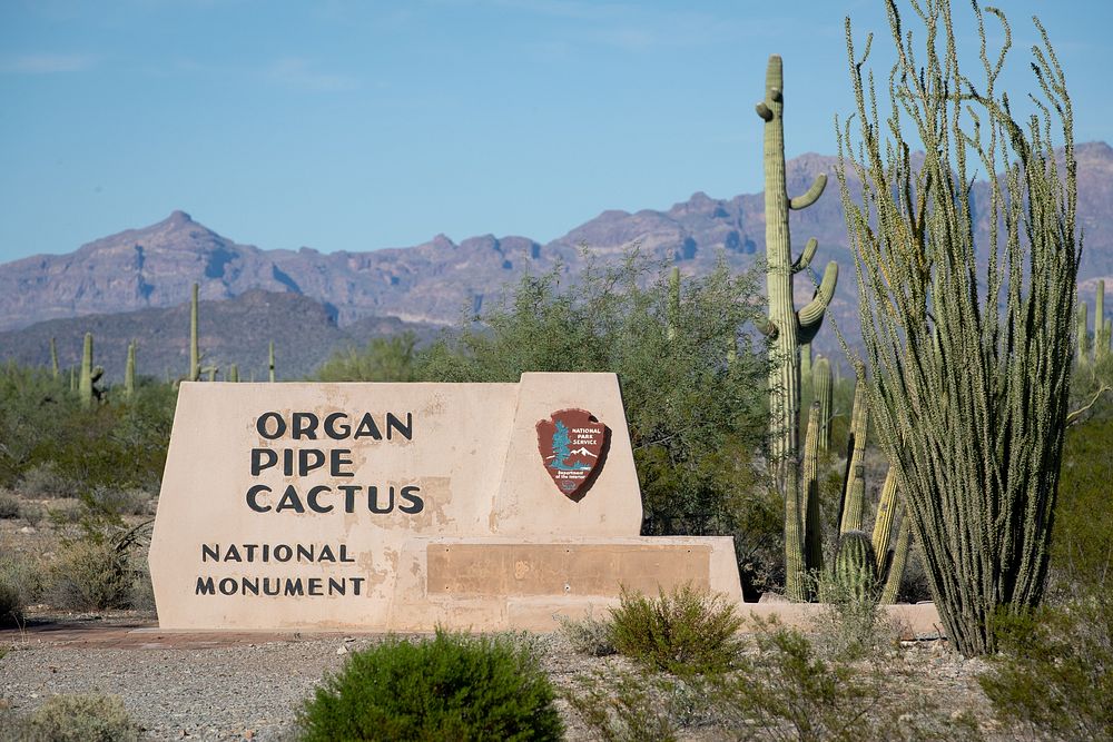 Organ Pipe National Monument | Free Photo - rawpixel