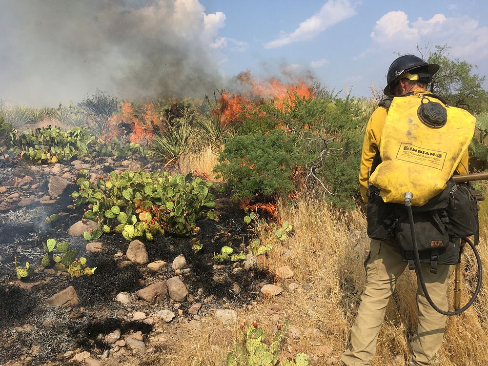 2020 BLM Photo Contest: Crews | Free Photo - rawpixel