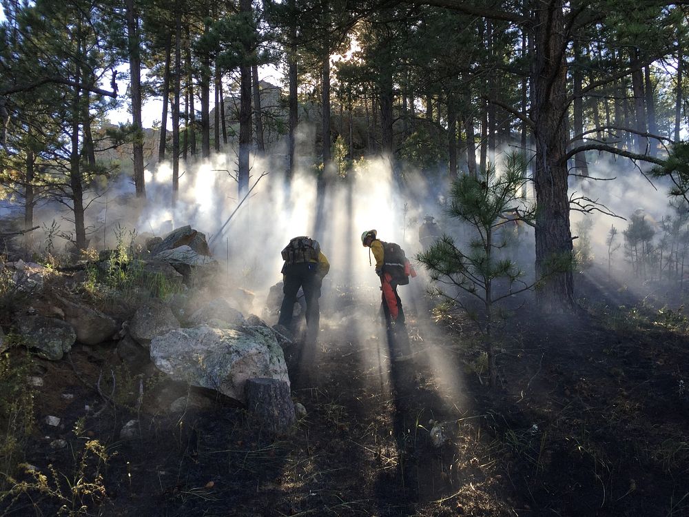 BLM Fire and Aviation Photo | Free Photo - rawpixel