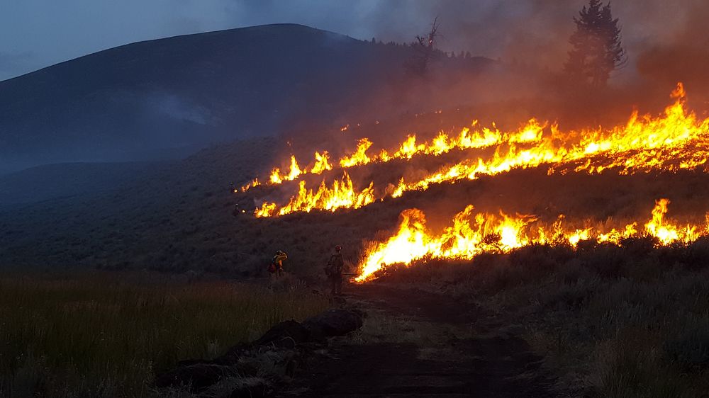 BLM Fire and Aviation Photo | Free Photo - rawpixel